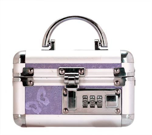Lockable Vibrator Case Mini - 5 Inch Length– Hamilton Park Electronics